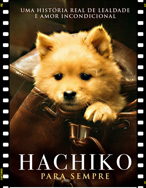Crítica: Hachiko – Projeto Lumi